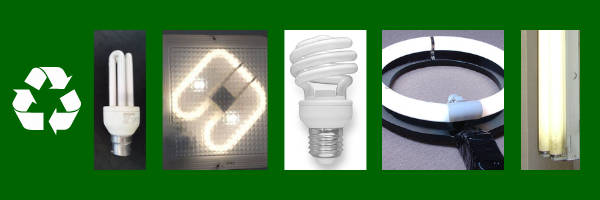 Recycling Lightbulbs