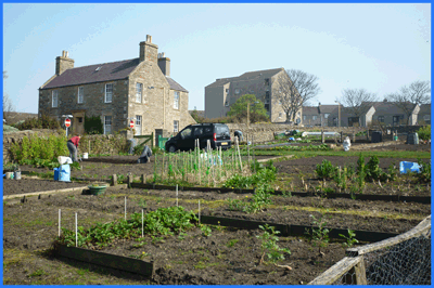 Allotments